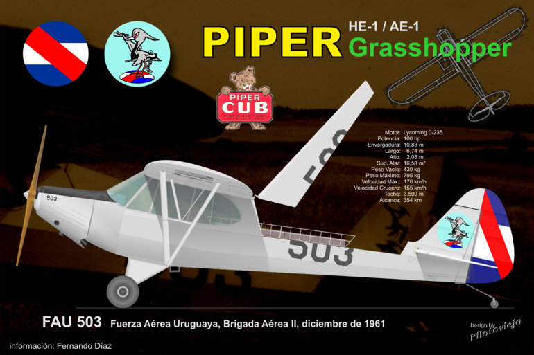 Memorias del Tiempo de Vuelo / Piper Cub